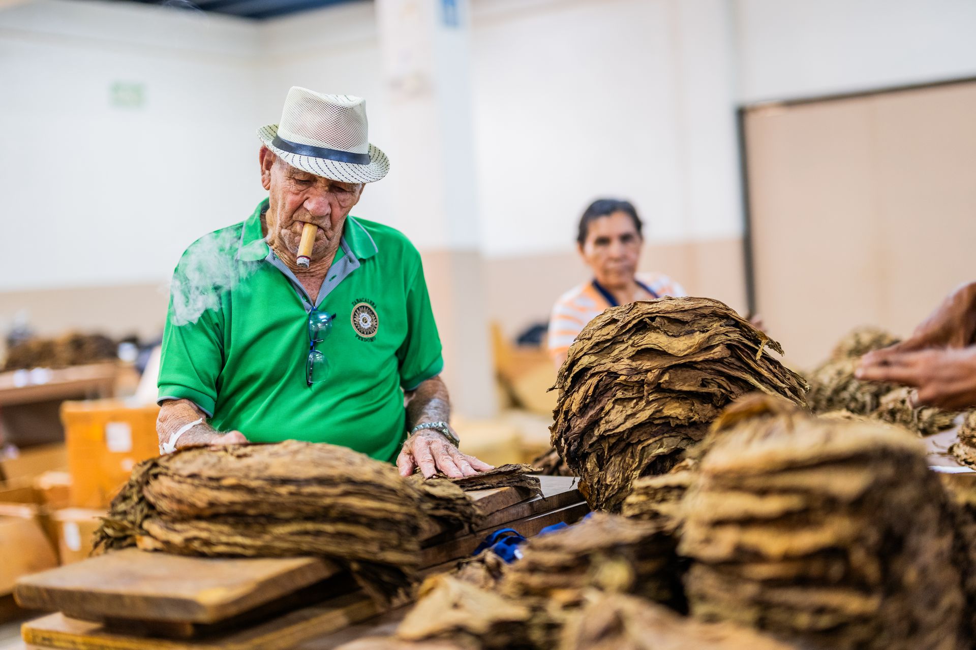 Tobacco Tours | Cigar Factory & Farm Trips | Cigar Circus